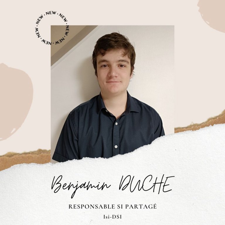 Isi-DSI - Société de conseil informatique - DSI partagée